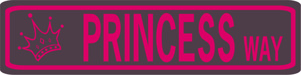 Princess Way Street - World Famous Sign Co.