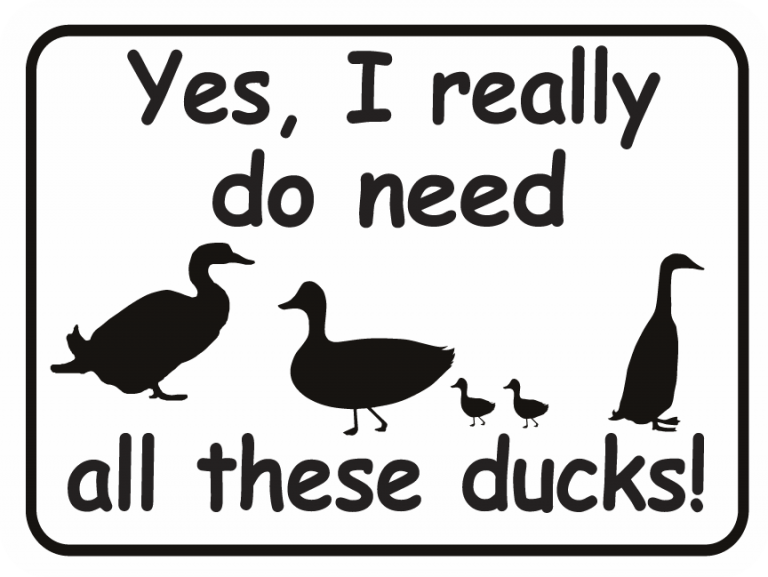 Duck Yes I really do need all these ducks Funny sign - World Famous ...