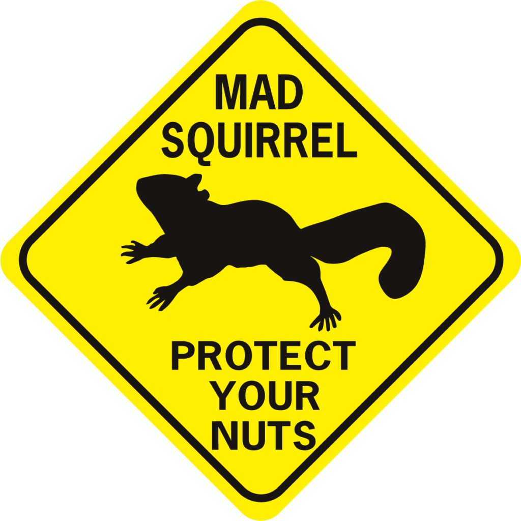 Mad Squirrel Protect Your Nuts diamond - World Famous Sign Co.