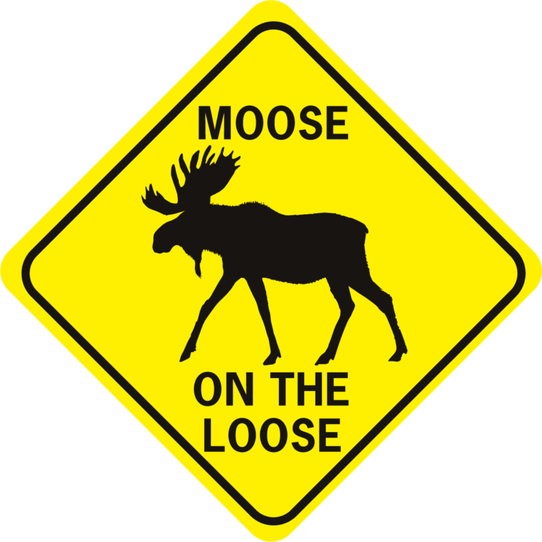 Moose on the Loose - World Famous Sign Co.